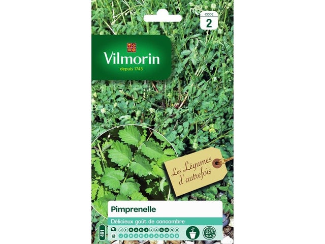Graine potager Pimprenelle VILMORIN