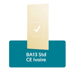 BA13 | Qualité, prix & conseils chez Weldom